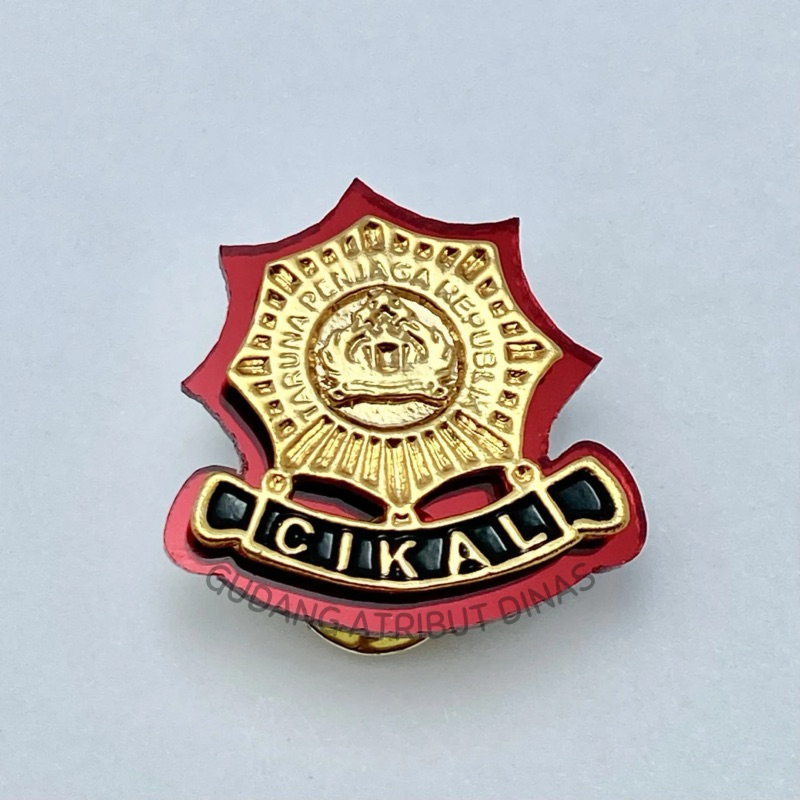 Jual PIN CIKAL / PIN OUTBOND CIKAL / BREVET CIKAL / ATRIBUT DINAS ...