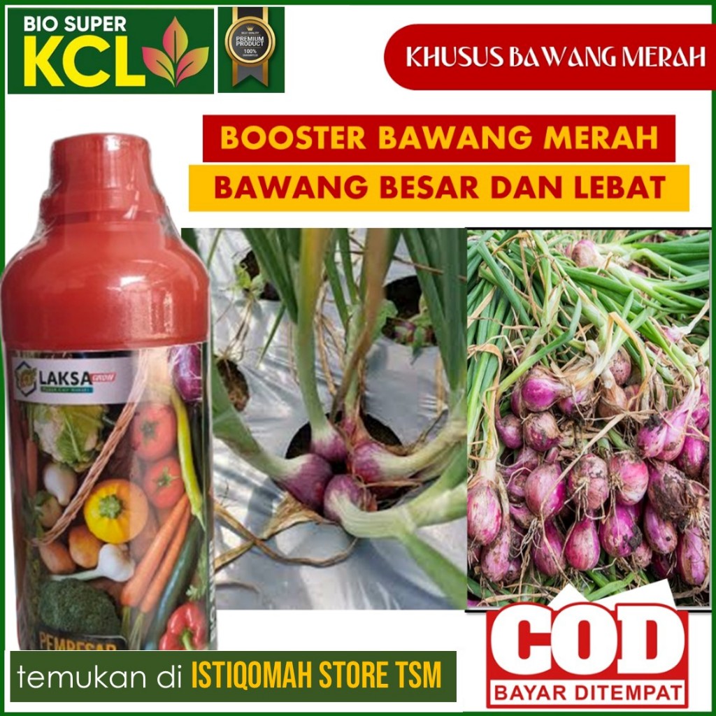 Jual BOOSTER Bawang Merah Terbaik Pembesar Umbi Bawang Merah Paling Manjur - BIO KCL 500 ML ...
