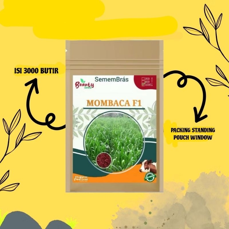 Jual Benih Rumput Super Mombaca F1 asli 3000 biji Rumput Hidup Premium ...