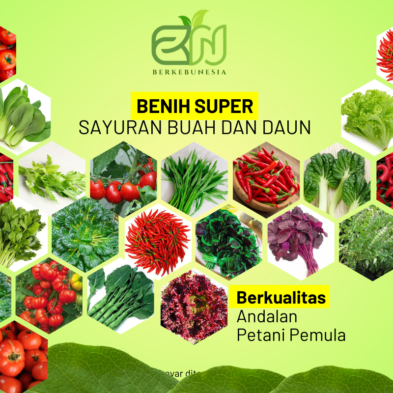 Jual Benih Bibit Sayuran Daun dan Buah Lengkap 1 Paket Bayam Kangkung ...