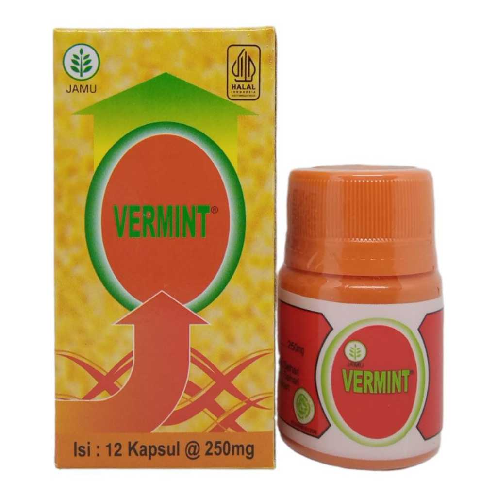 Jual Vermint | Vermin | Obat Penyakit Tifus / Tipes / Typus 12 Kapsul ...