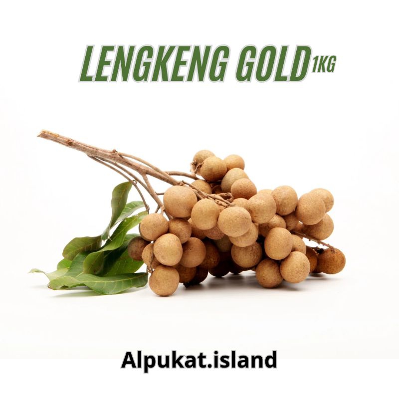 Jual lengkeng gold 1 kg | Shopee Indonesia