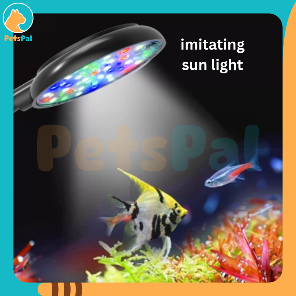 Jual Lampu Akuarium LED Bulat USB Klip 5 Watt Mode Kontrol Redup Putar ...