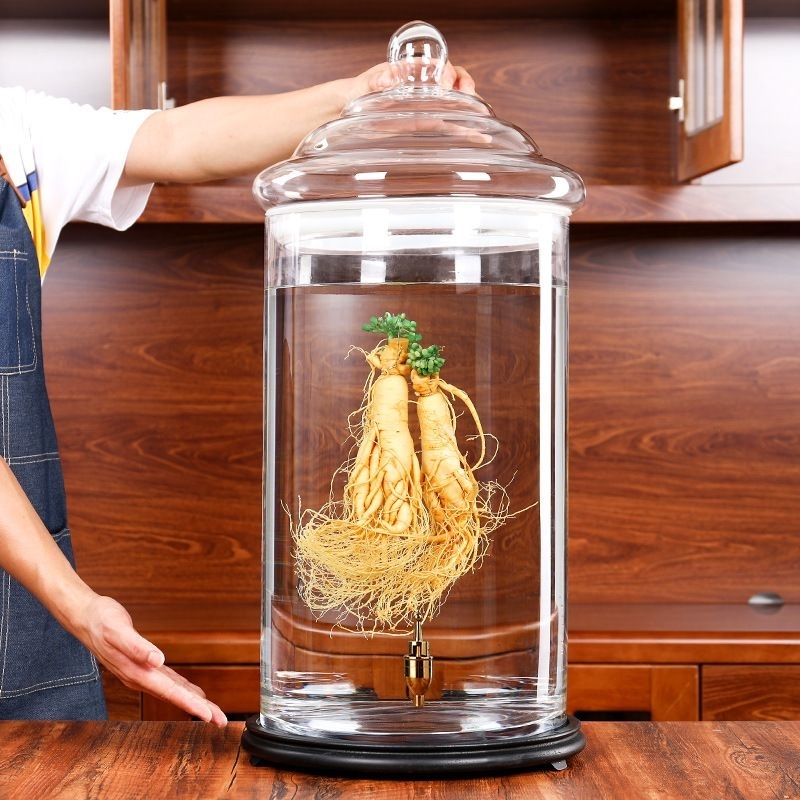 Jual Akar Ginseng Kemasan Vacuum Berat 250 Gram (COD) | Shopee Indonesia