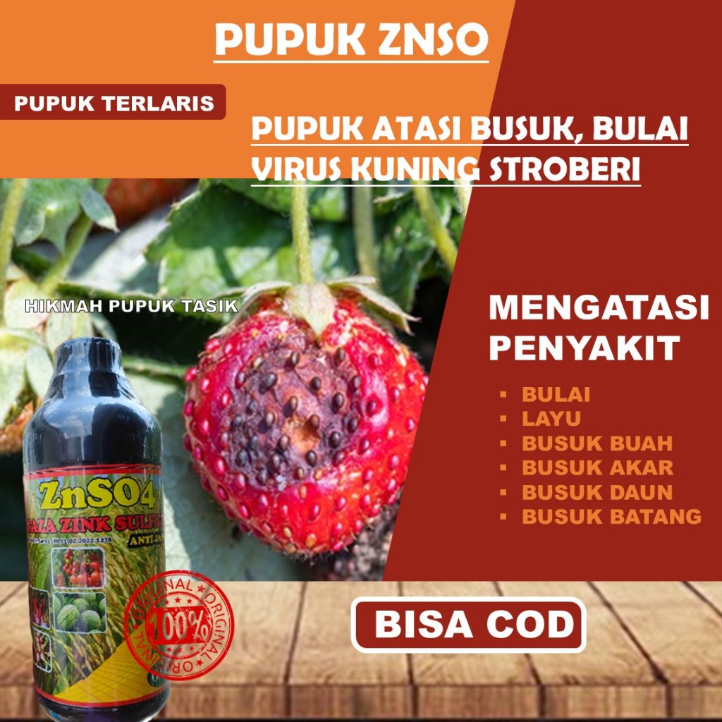 Jual PUPUK BUSUK STROBERI ZNSO PALING AMPUH - OBAT CAIR ATASI BUSUK ...