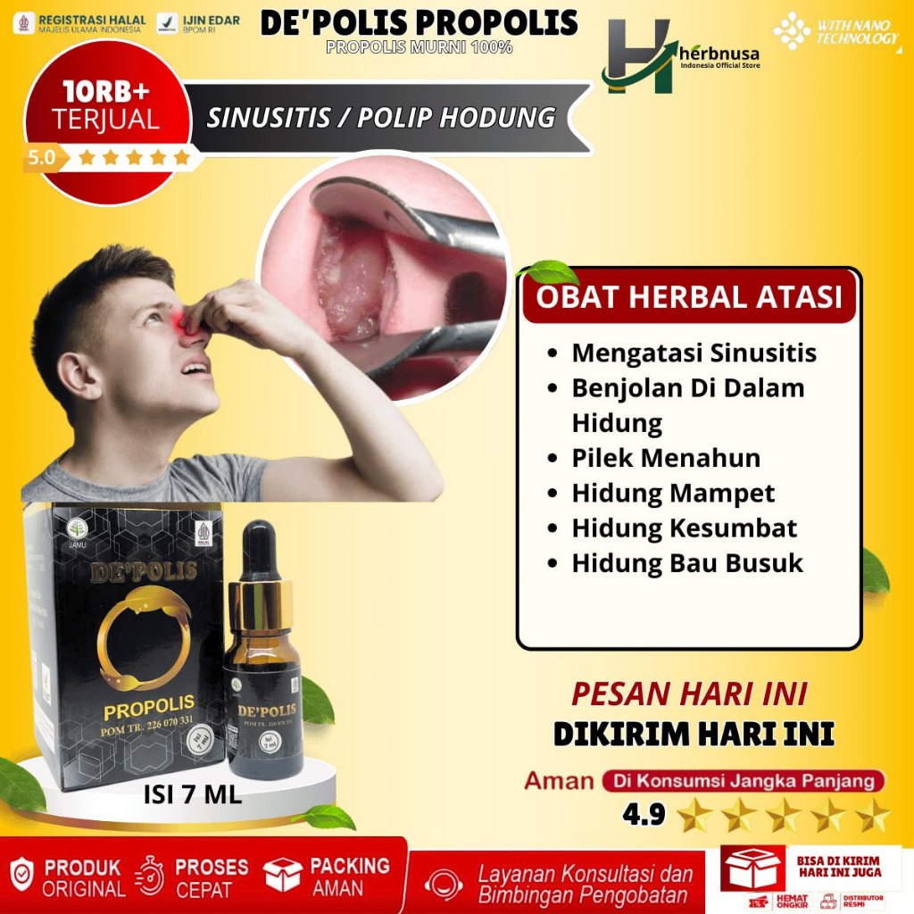 Jual Obat Sinusitis Pilek Menahun Hidung Bau Busuk Anosmia Obat Polip ...