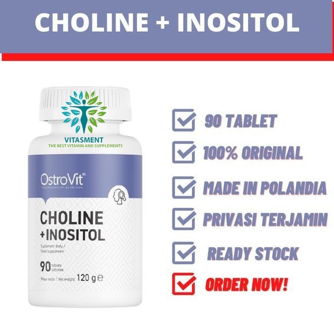 Jual OstroVit Choline bitartrate + Myo Inositol 90 Tablet Suplemen ...