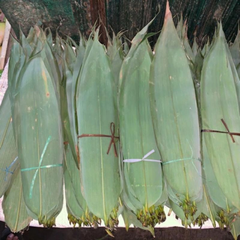 Jual Daun bambu bacang jumbo /100 lembar | Shopee Indonesia