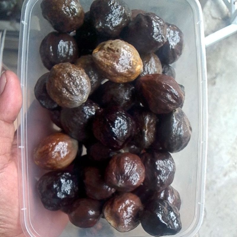 Jual Muncang adu jawara jenis Jayanti IRT sibabu buledan panjangan ...