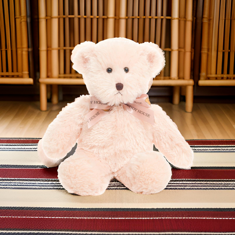 Jual TEDDY HOUSE ANDY BEAR 22 INCHI | Shopee Indonesia