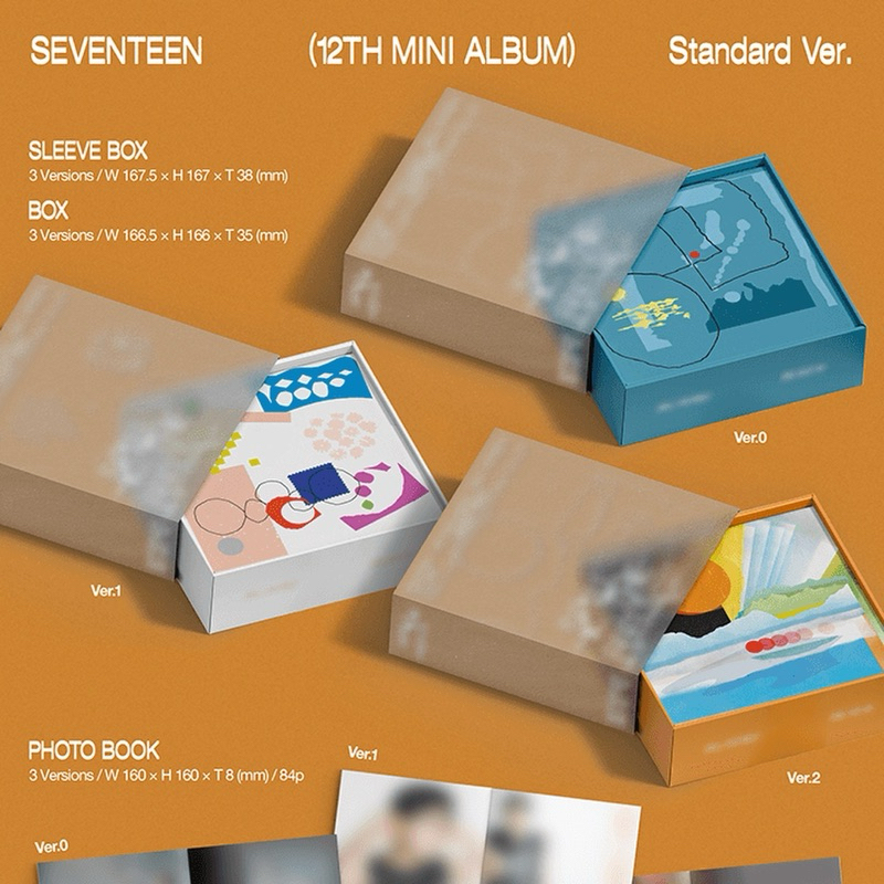 Jual SEVENTEEN 12th MINI ALBUM SPILL THE FEEL | Shopee Indonesia