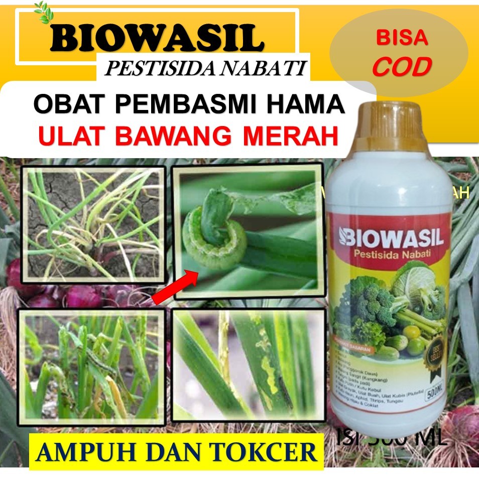 Jual PROMO BIOWASIL 500 ML pupuk terbaik PESTISIDA HAMA ULAT BAWANG MERAH,BAWANG DAUN,PADI obat ...