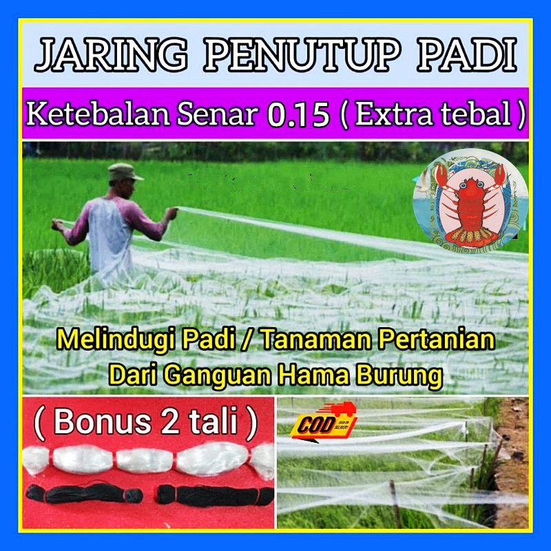 Jual JARING PADI SENAR 0.15 (EXTRA TEBAL) JARING PIPIT | JARING EMPRIT ...