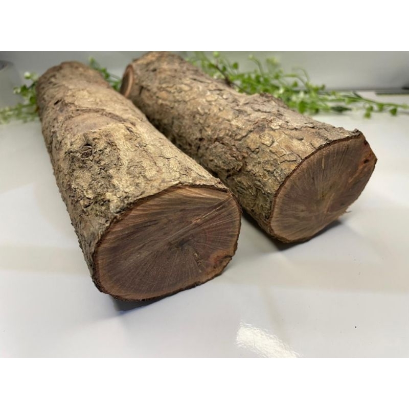 Jual Bahan kayu setigi paket 1kg dan ⅕kg | Shopee Indonesia