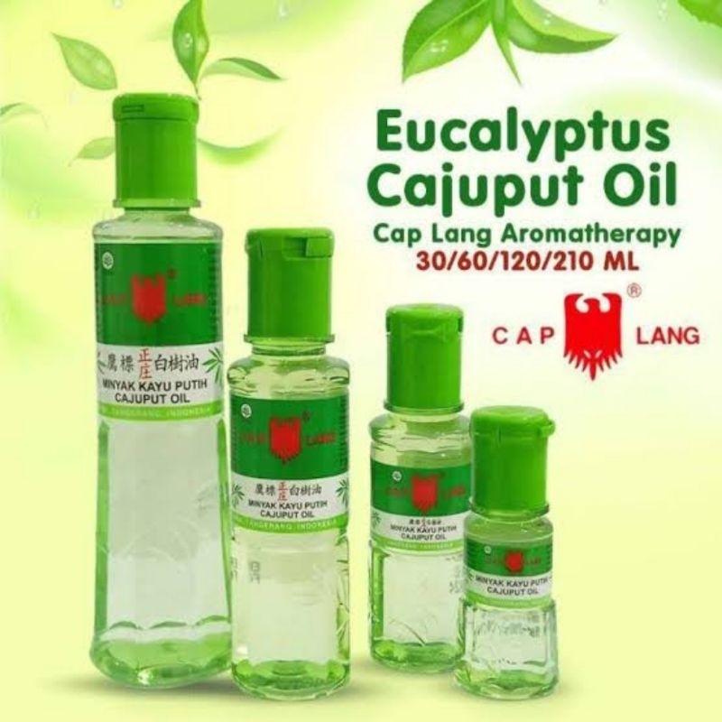 Jual MINYAK KAYU PUTIH CAP LANG EUCALYPTUS CAJUPUT OIL 15ML / 30ML / 60ML | Shopee Indonesia