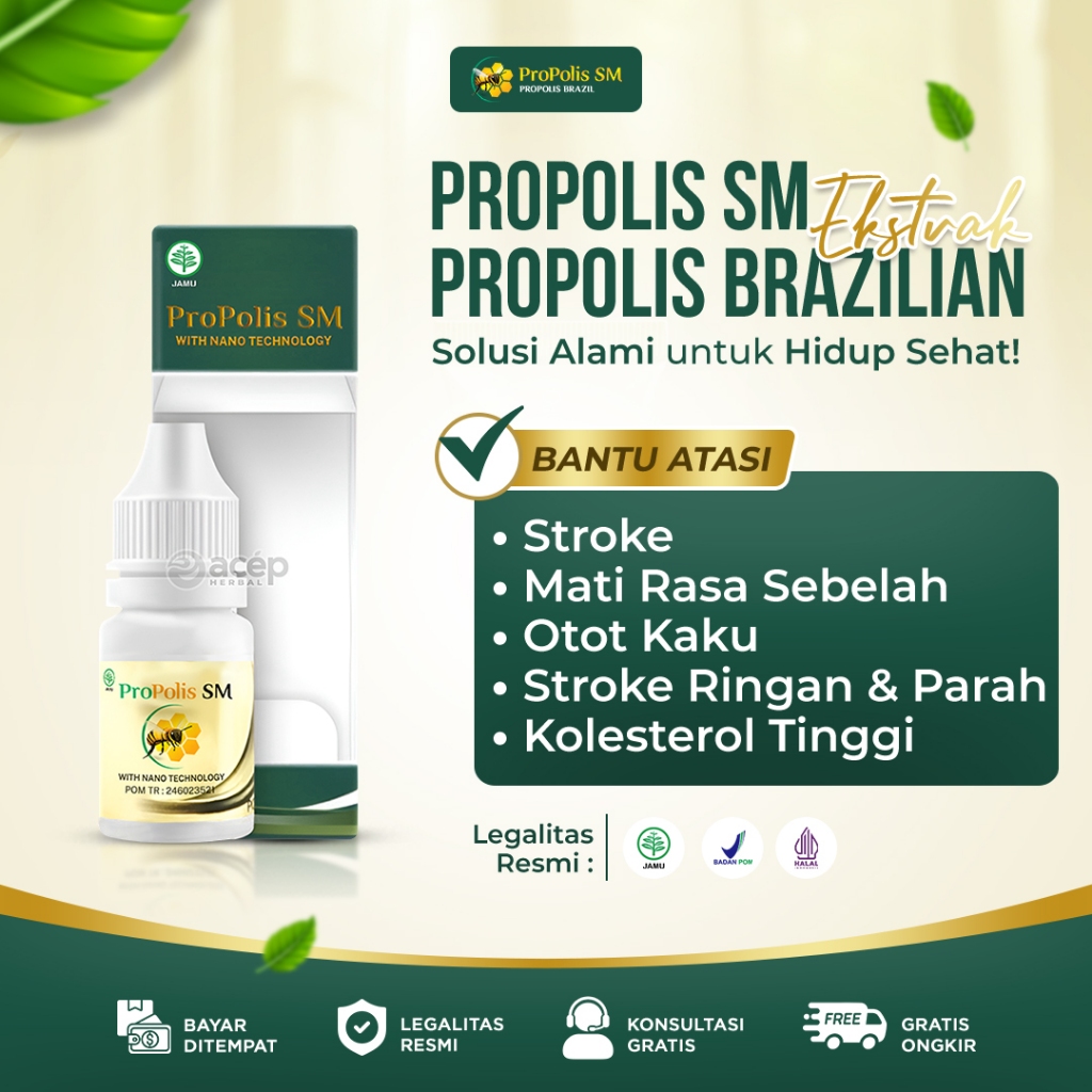 Jual Obat Stroke Setrok Ringan Parah Sebelah Mati Rasa Lumpuh Otot Kaku ...