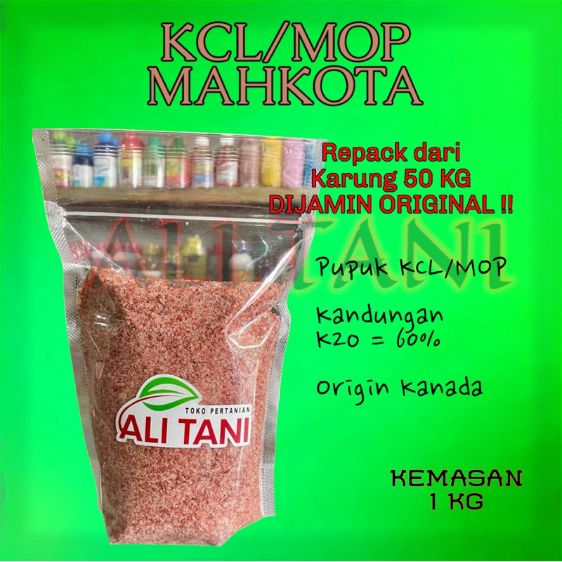 Jual KCL/MOP Kemasan Repack 1 KG Pupuk Buah/Pupuk K2O/Pupuk Tunggal ...
