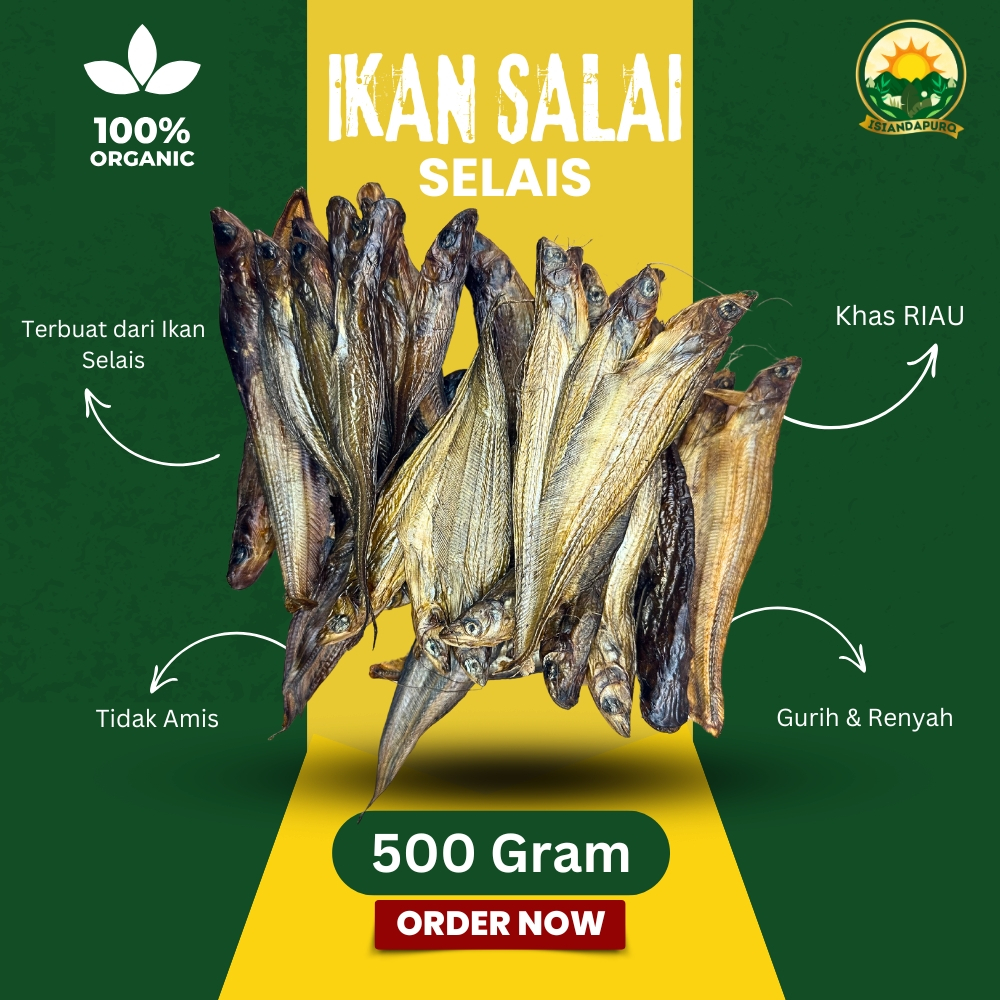 Jual Ikan Kering Ikan Salai Pekanbaru 500 Gram Ikan Asap Selais Salai ...