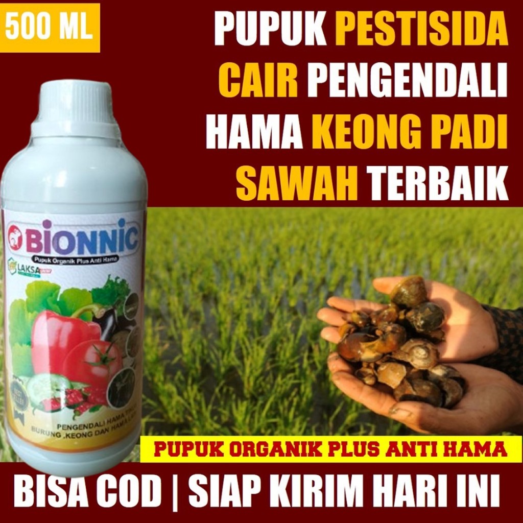 Jual Obat Semprot Keong Mas Pemakan Padi, Pestisida Semprot Pengendali ...
