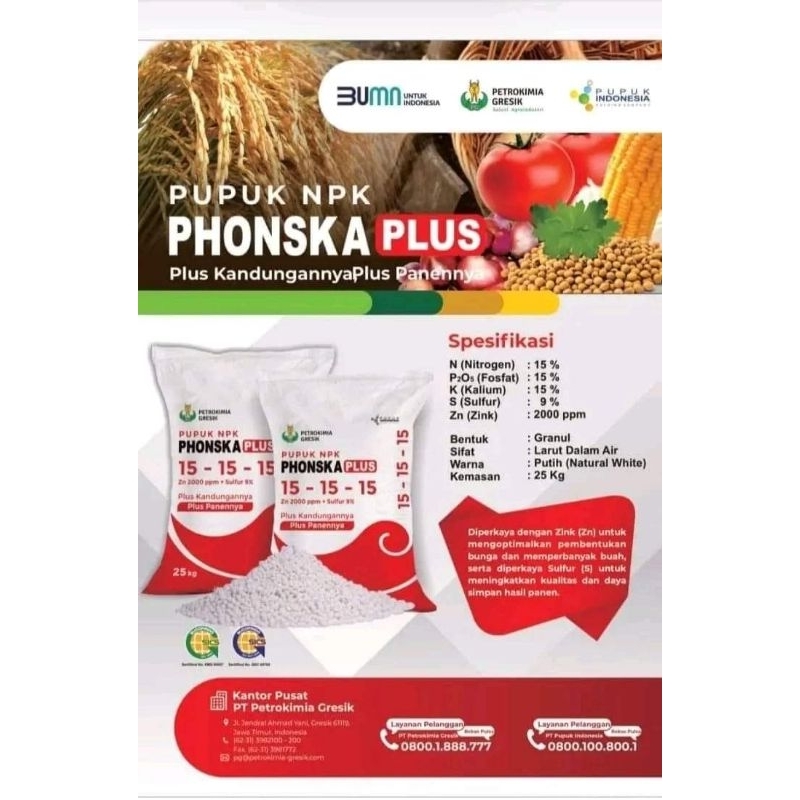 Jual Pupuk Npk Phonska Plus 15-15-15 Original Petrokimia Gresik Kemasan ...