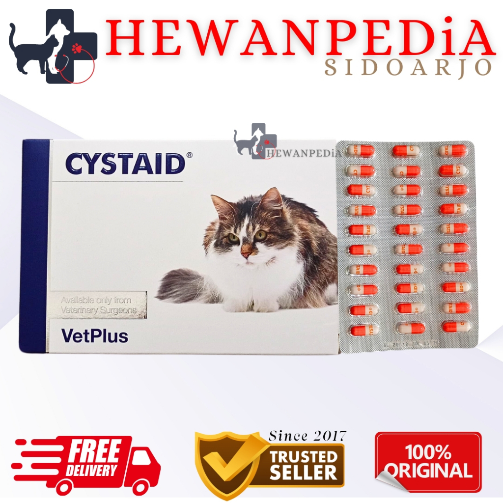 Jual CYSTAID VETPLUS 1 Kapsul Hewanpedia - Obat Susah Kencing Kucing ...