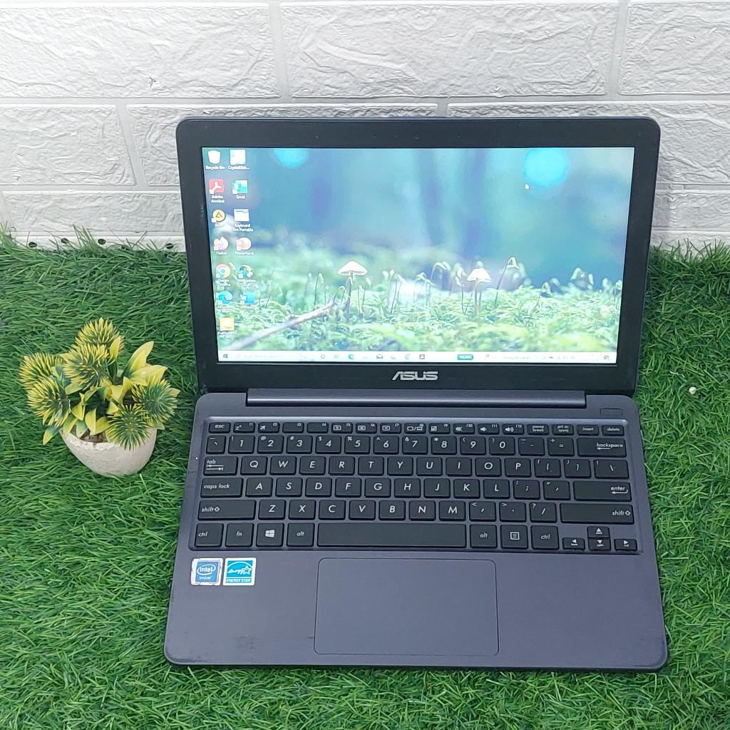 Jual Netbook Asus E203MAH Intel N4000 Ram 4GB SSD 128GB Windows 10 Siap ...