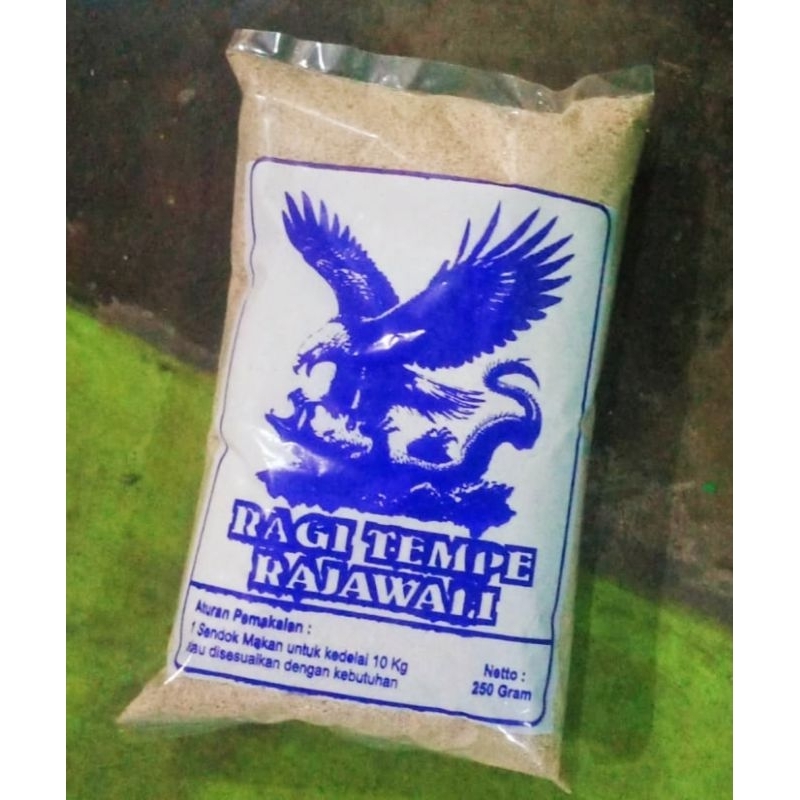 Jual RAGI TEMPE ORIGINAL 250gr HOMEMADE | Shopee Indonesia