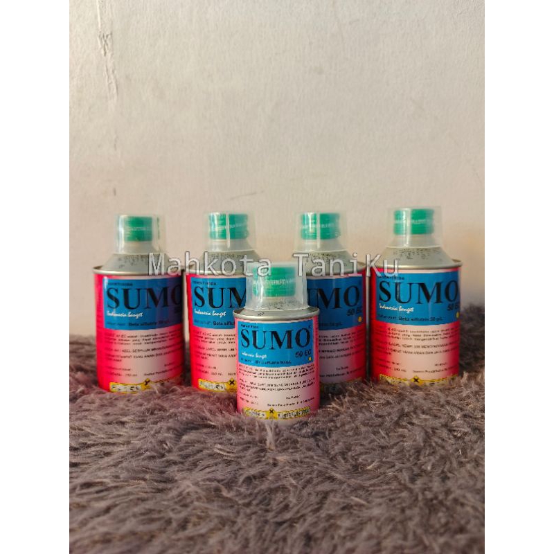 Jual INSEKTISIDA SUMO 50 ec - OBAT SEMUA HAMA TANAMAN | Shopee Indonesia