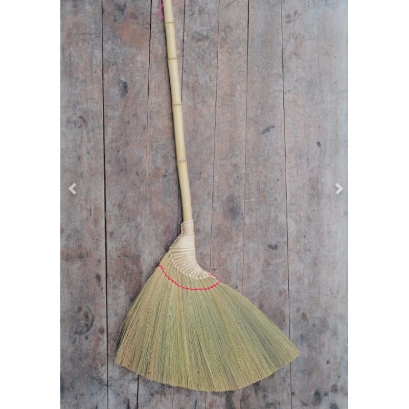 Jual sapu rumput halus model udang | Shopee Indonesia
