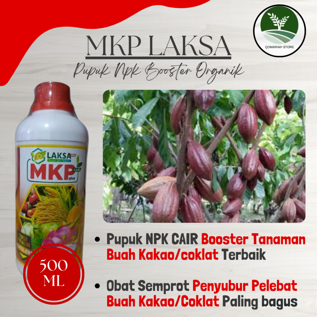 Jual pupuk semprot pelebat buah kakao paling bagus - MKP LAKSA GROW - obat booster buah coklat ...