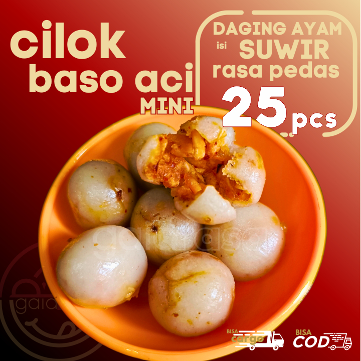 Jual Baso Aci CILOK MINI 25pcs PENTOL ISI AYAM SUWIR PEDAS by Gaiarasa ...