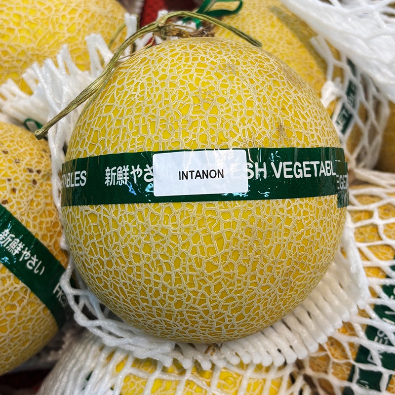 Jual Melon Intanon Hidrophonic super manis 1.4 kgper biji kirim instan ...