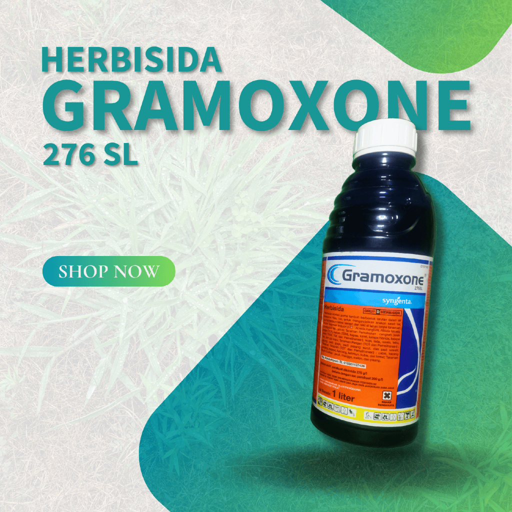 Jual Gramoxone 276 SL 1 lt Herbisida Pembasmi Rumput & Gulma | Shopee ...