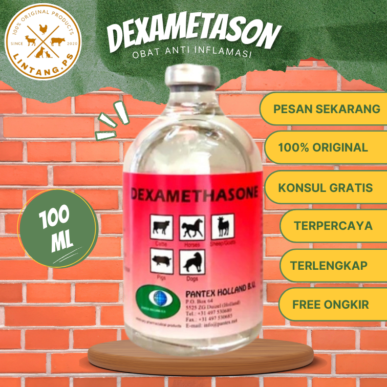 Jual Obat Anti Infamasi 100ml - Dexametason 100ml Injeksi | Shopee ...