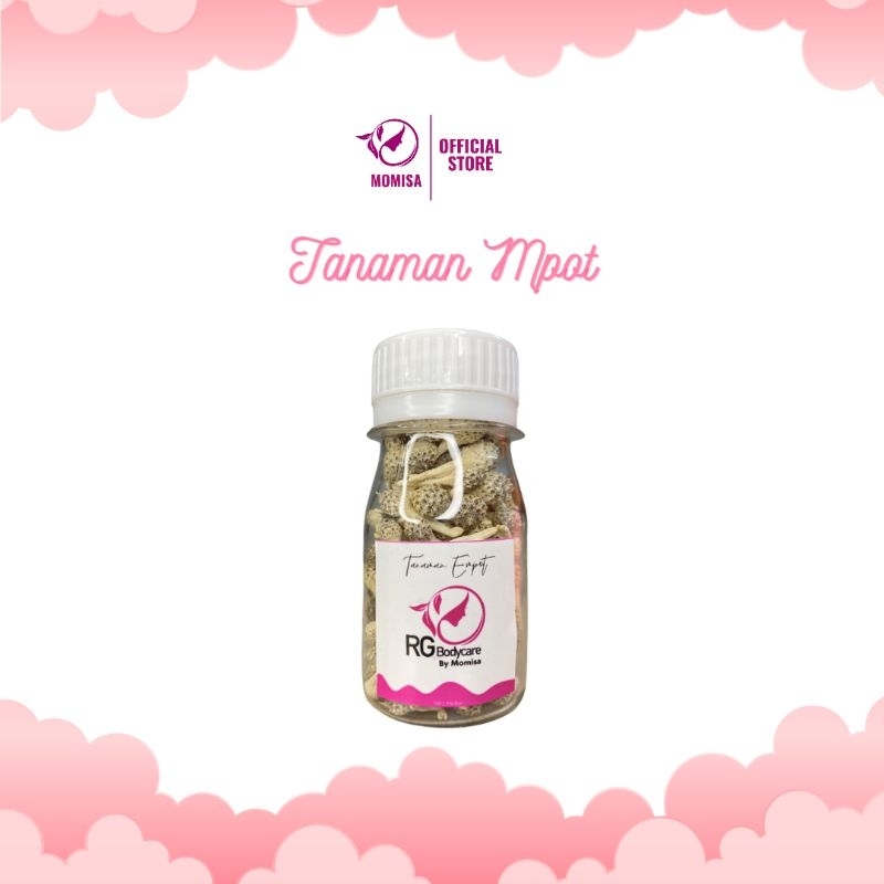 Jual Mpot ayam putih original empot biang Asli | Shopee Indonesia