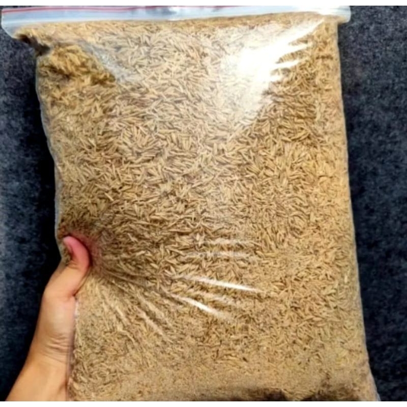 Jual SEKAM MENTAH KULIT PADI METAN HIDROPONIK ORGANIK NETTO 1KG ...