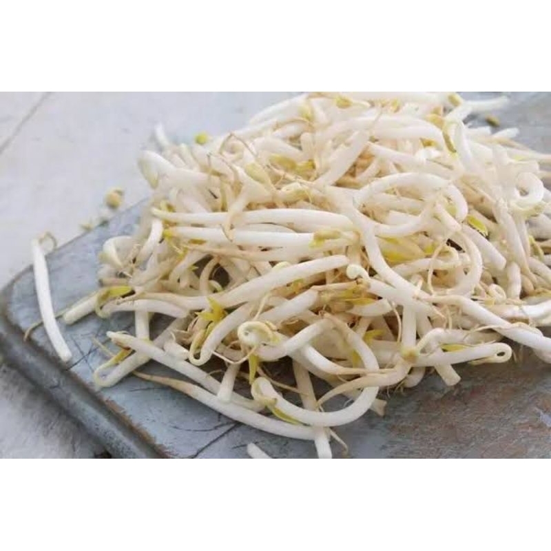 Jual Toge / Touge 250g | Shopee Indonesia