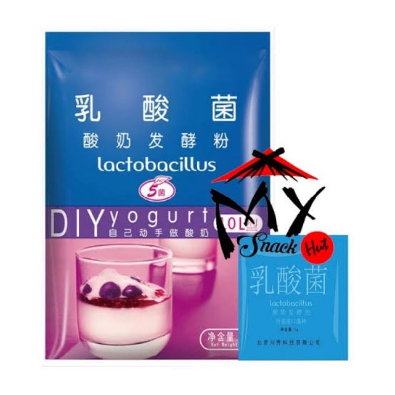 Jual BIBIT YOGHURT LACTOBACILLUS 1GR STARTER YOGURT LACTOBACILLUS ...