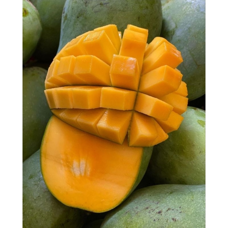 Jual Mangga Harumanis Grade A 1kg | Shopee Indonesia