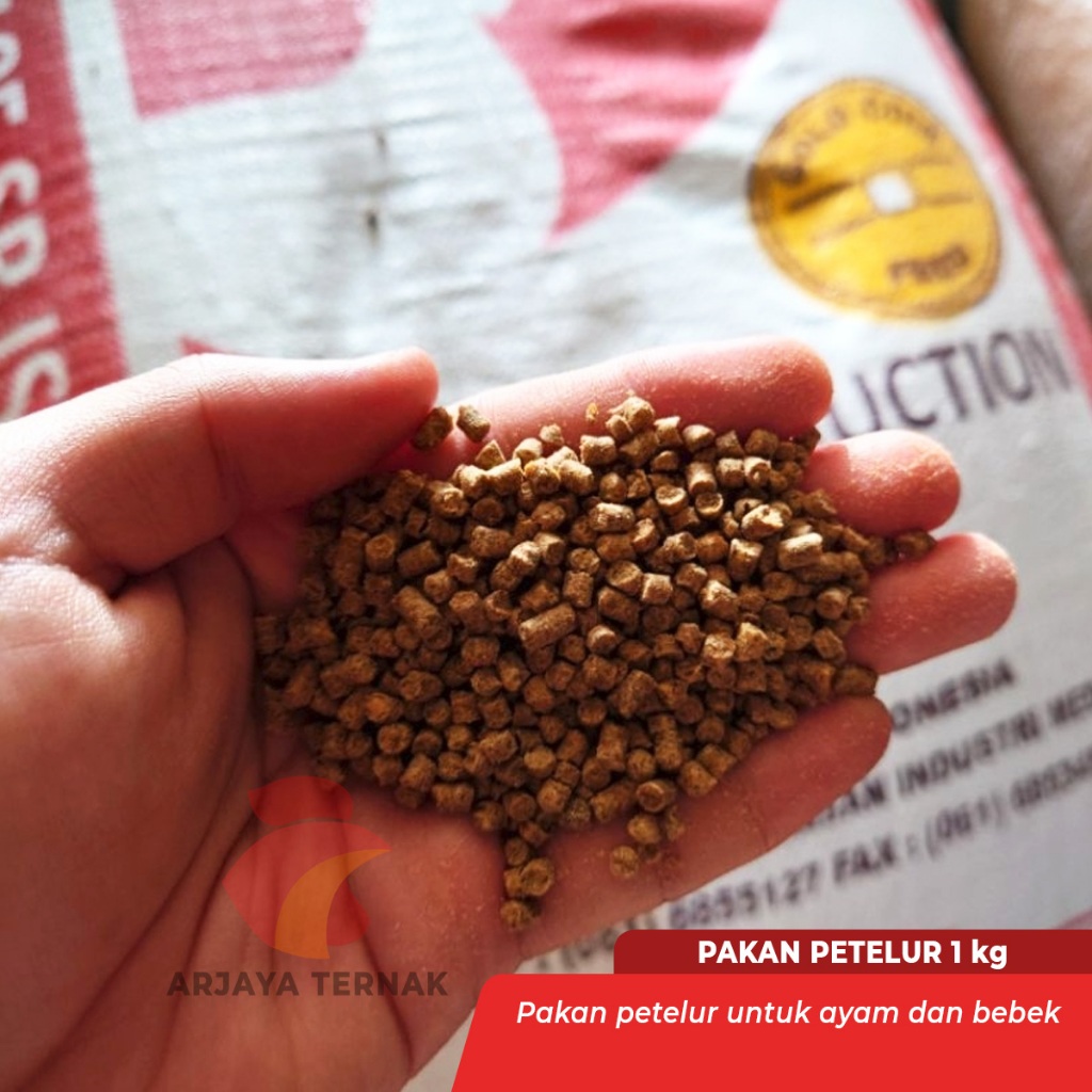 Jual Pakan atau pur ayam petelur dan bebek petelur tinggi protein ...