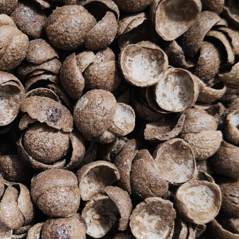 Jual [ Ayu Snack ] Coco Crunch Simba 500 gram | Coco Crunch Enak ...