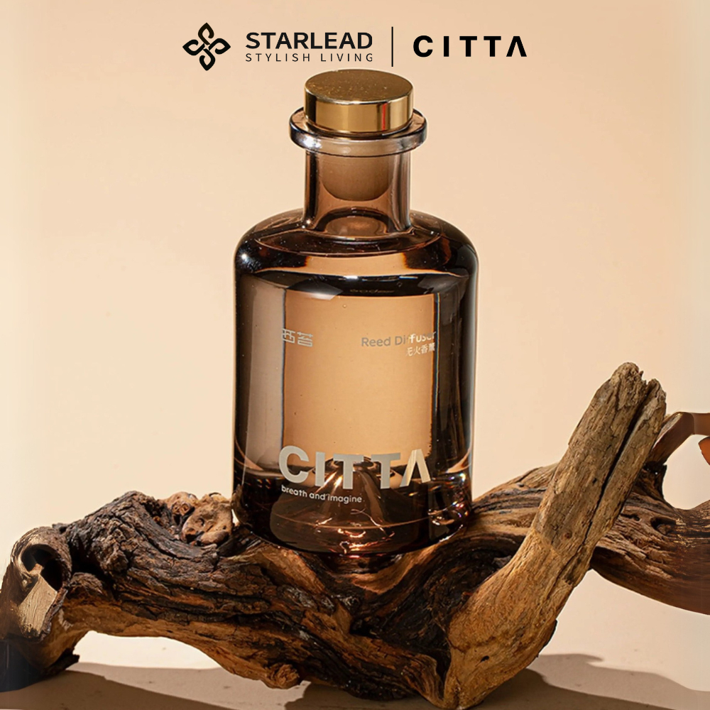 Jual STARLEAD - CITTA Earthy Long-Neck Rattan Reed Diffuser Pengharum ...