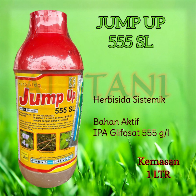 Jual JUMP UP 555 SL Kemasan 1 Liter Herbisida Sistemik/Racun Rumput ...
