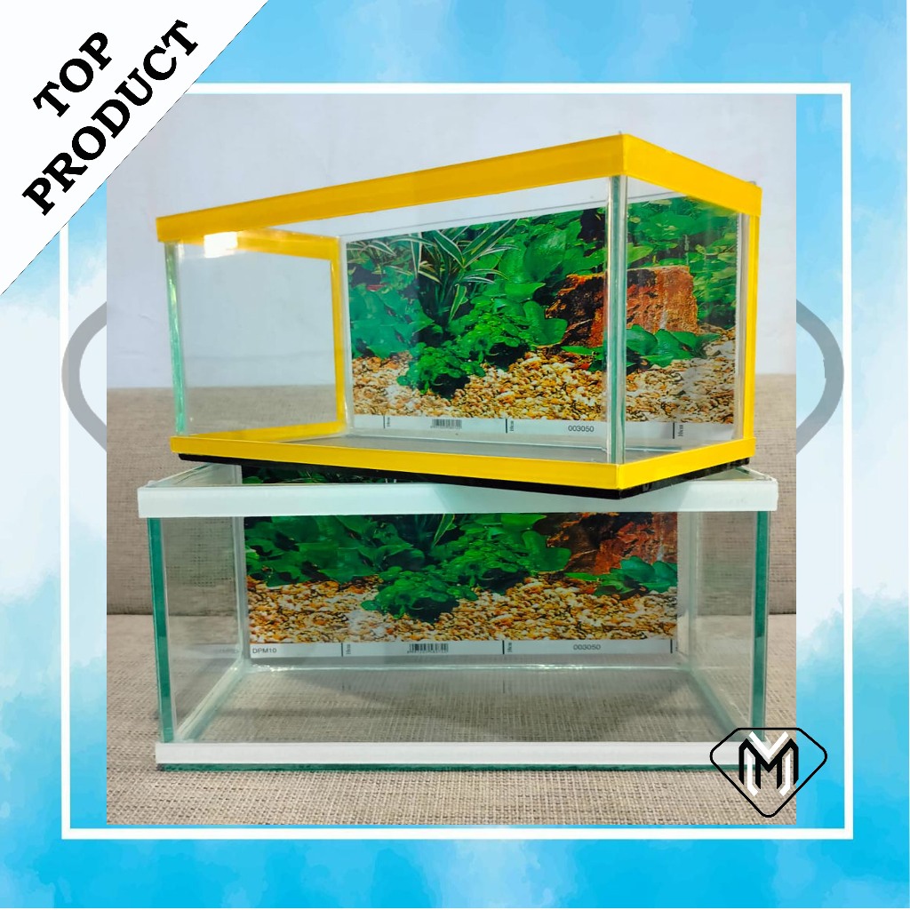 Jual aquarium minimalis full set aquarium p 30 x t 15 cocok untuk cana ...
