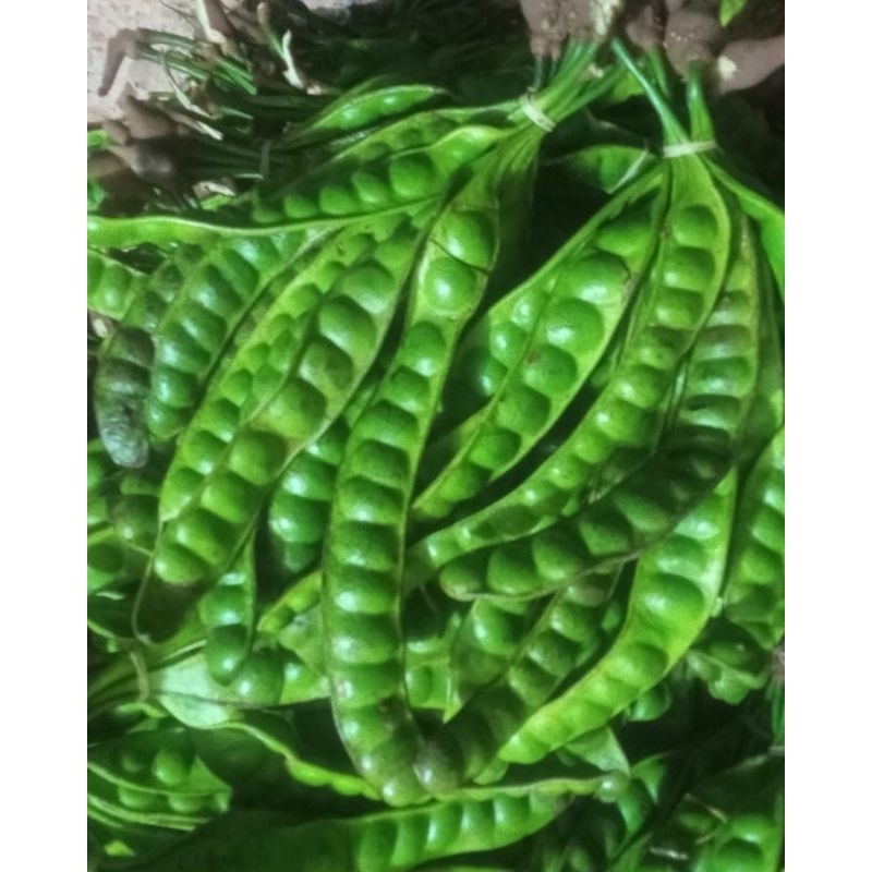 Jual PETE 1 KG | Shopee Indonesia