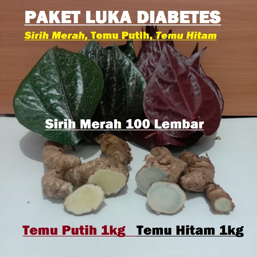 Jual PAKET HERBAL LUKA DIABETES : Sirih merah , Temu Putih , Temu Hitam ...