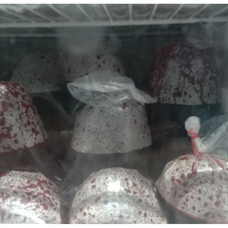 Jual Darah Sapi Segar Untuk Media Telor Sapu Sapu | Shopee Indonesia