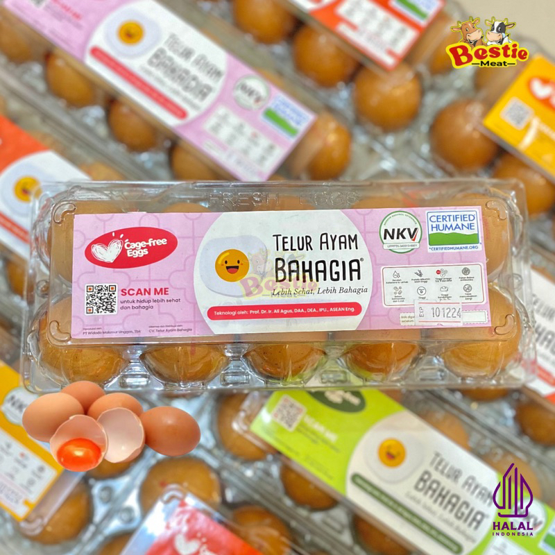 Jual Telur Ayam Omega Bahagia | Telur Omega Isi 6 & 10 Butir | Shopee ...