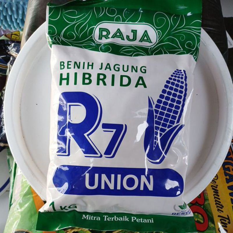 Jual Benih jagung hibrida R7 Raja Union 1kg Exp 05-2025 | Shopee Indonesia