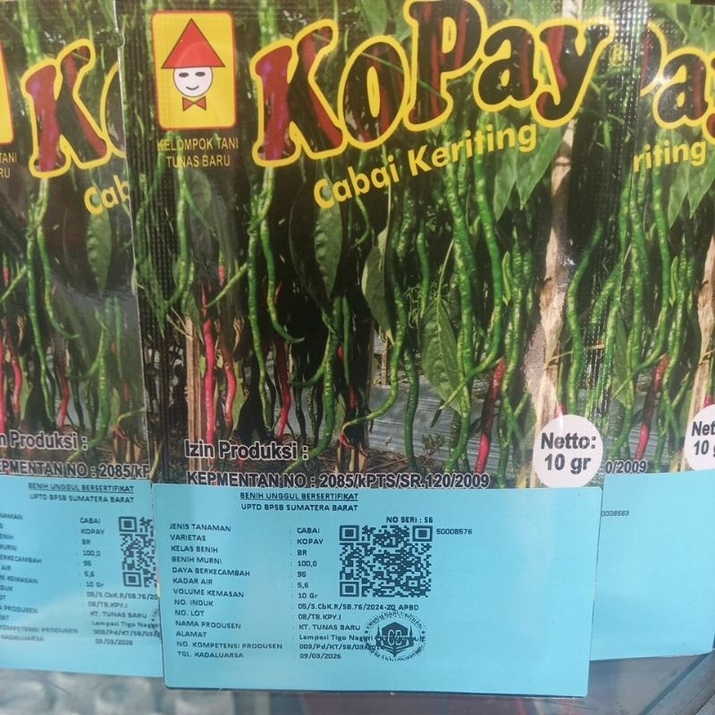 Jual Benih cabe merah keriting Kopay kemasan isi 10 gram | Shopee Indonesia